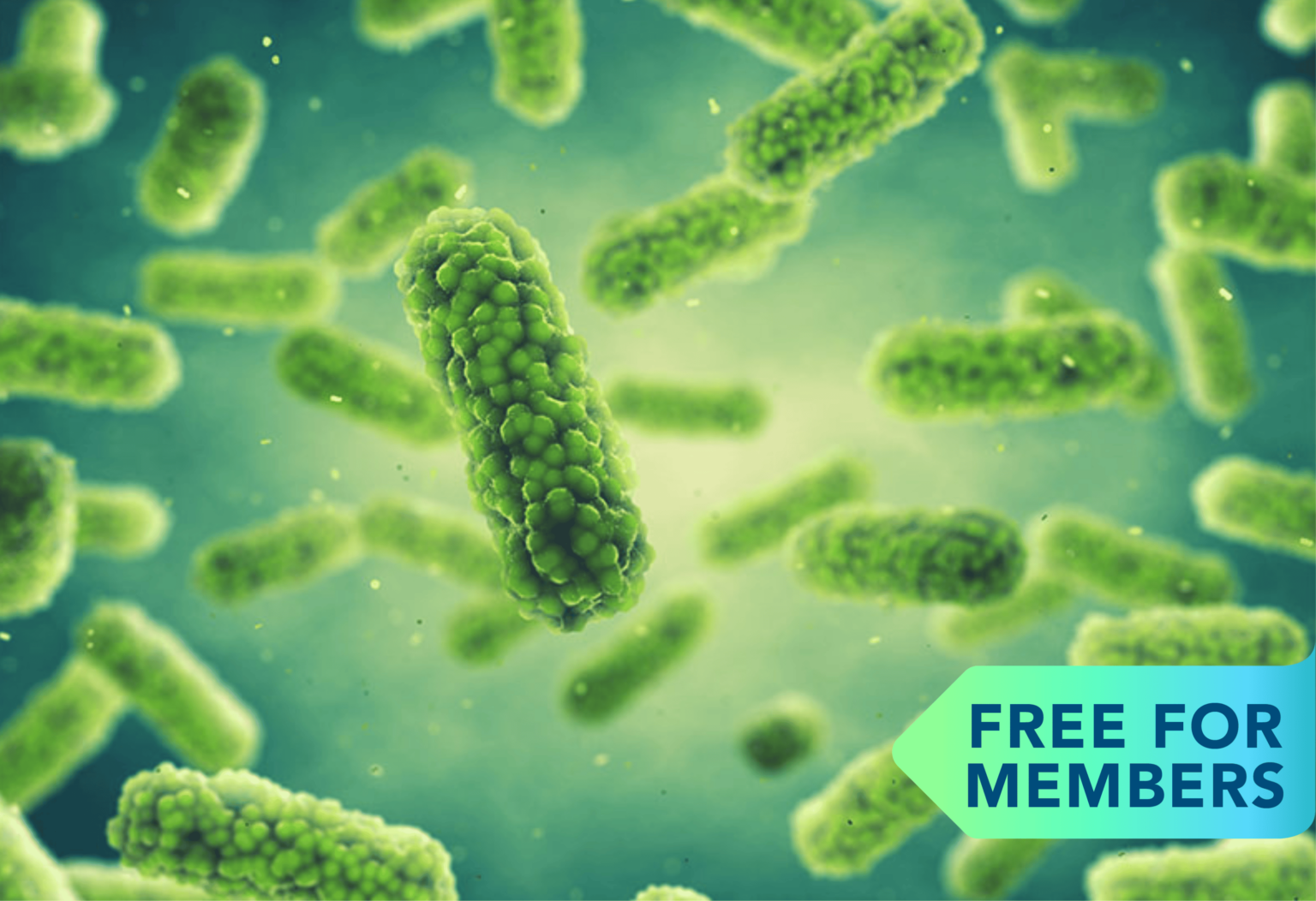 Infection Control in Home-Based Primary Care - Home Centered Care Institute